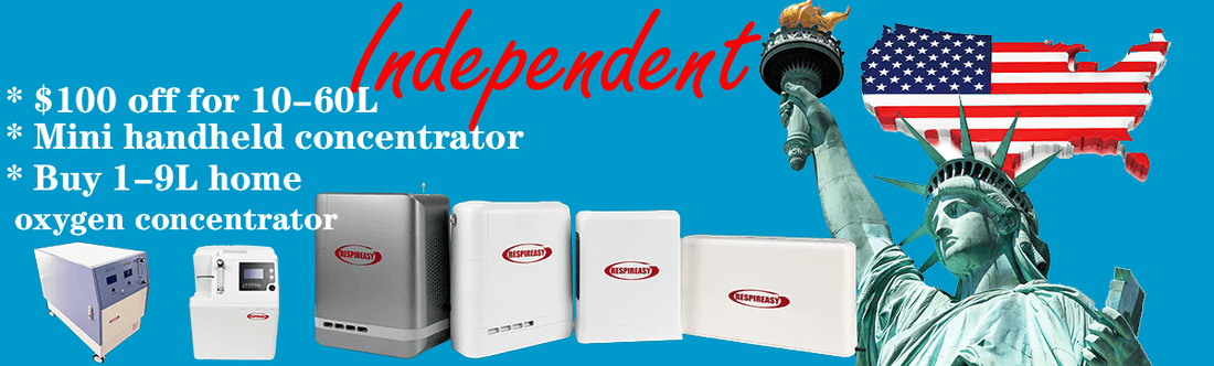 Mini Size Portable Oxygen Concentrator (with Battery,Carrying Bag ...